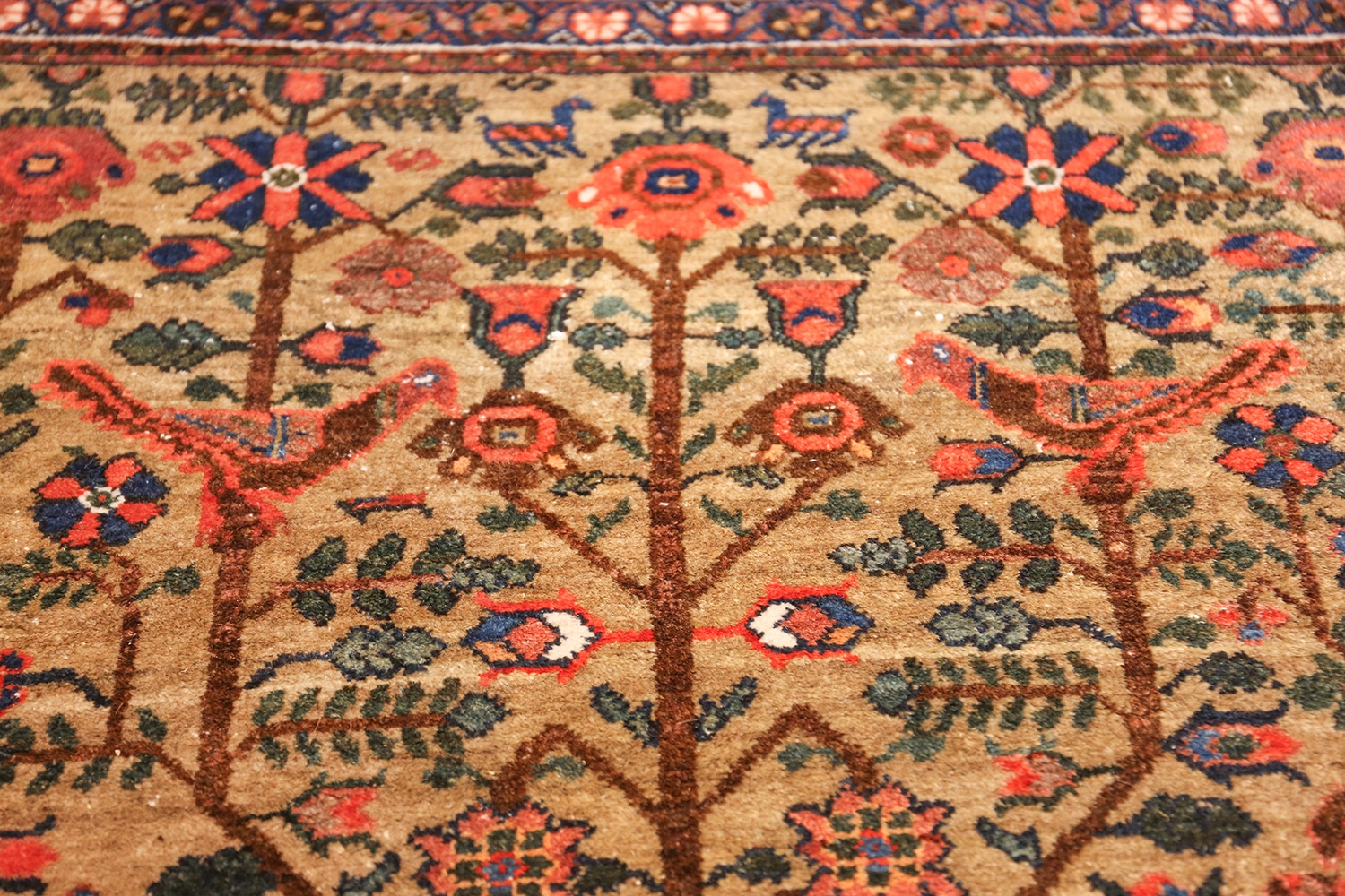 Small Antique Tabriz Persian Tree of Life Rug 48616 Nazmiyal Rugs