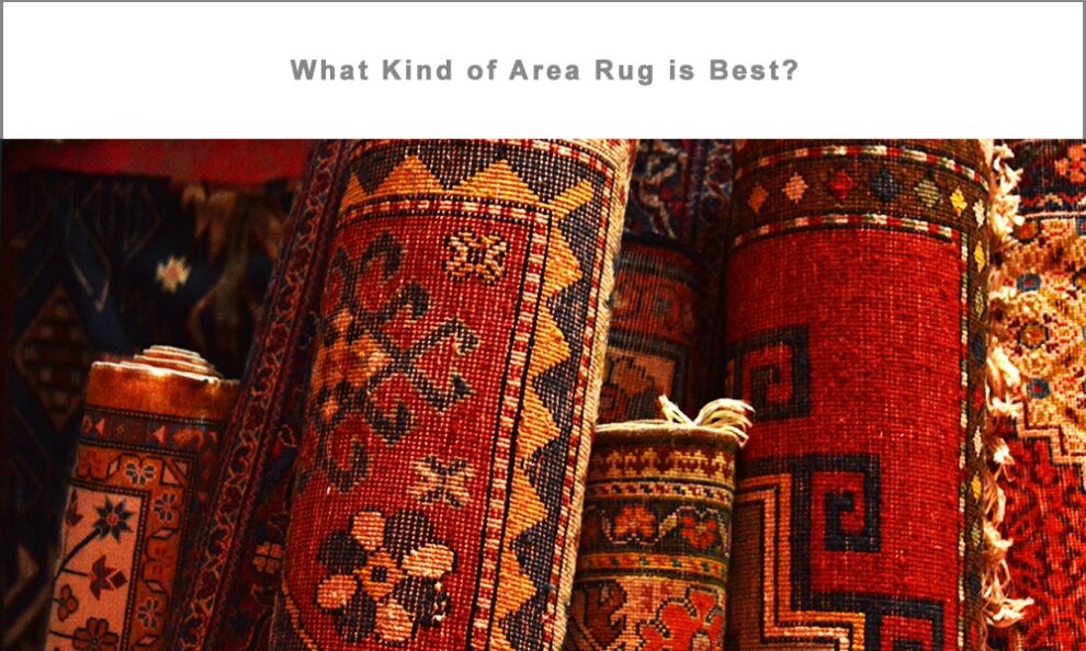 Best Area Rug | What Kind of Area Rug Is Considered The Best