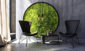 Biophilic Design | What is Nature Centric Biophilic Interior Design?