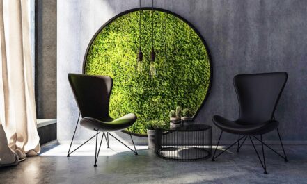 Biophilic Design | What is Nature Centric Biophilic Interior Design?