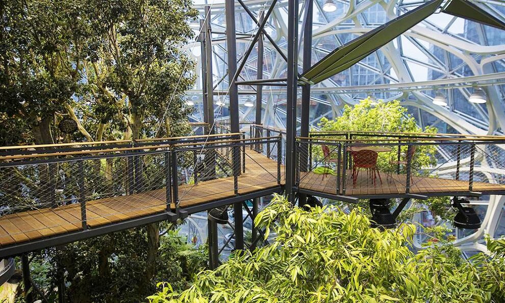 Biophilic Design | What is Nature Centric Biophilic Interior Design?