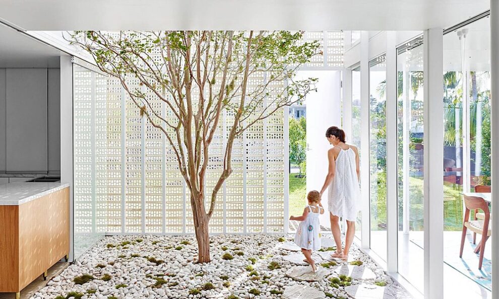 Biophilic Design | What is Nature Centric Biophilic Interior Design?