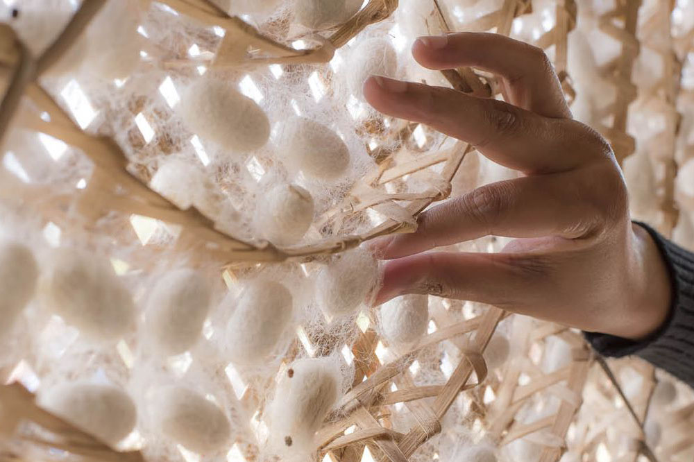 The Long and Fascinating History of Silk